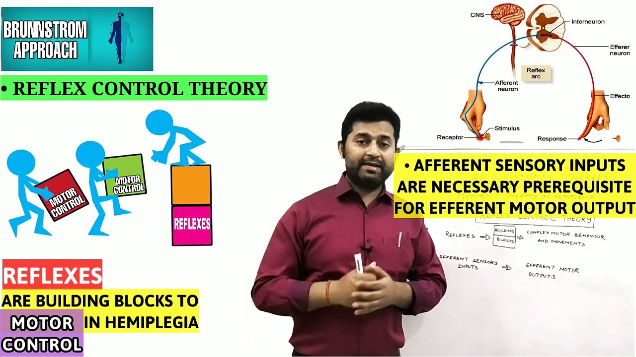 AN INTRODUCTION TO BRUNNSTROM APPROACH : MOVEMENT THERAPY IN HEMIPLEGIA ...