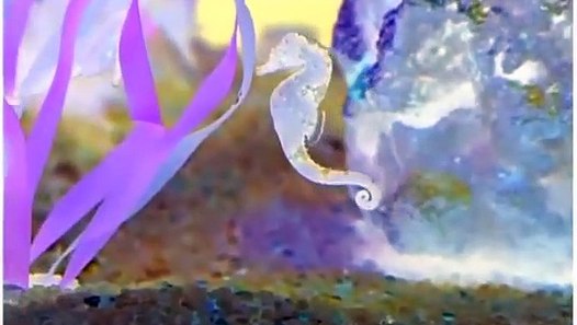 Baby Noah in G Major [Part 2] - video dailymotion