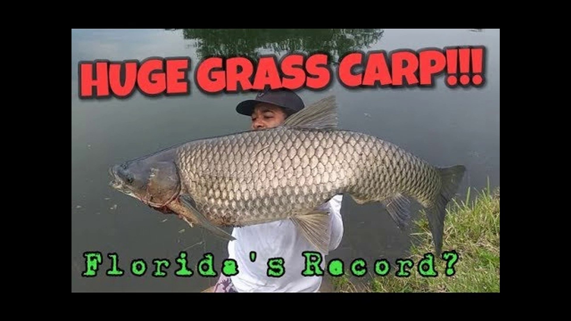 Record Grass Carp