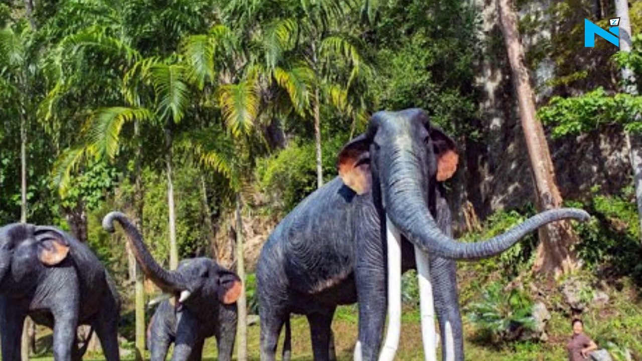 5 million years old elephant fossils discovered from Shivalik range of ...
