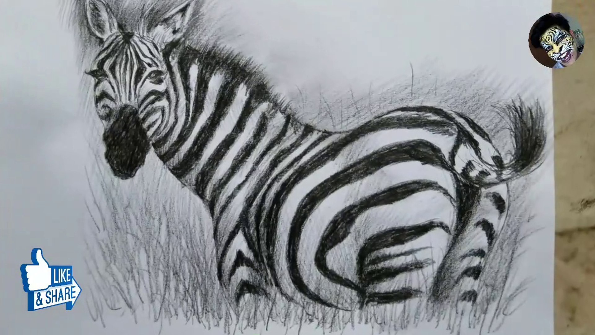 Easy Zebra Pencil Drawing
