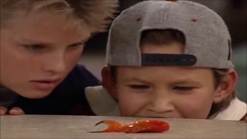 Home Improvement / Randy Taylor / JTT by OneHitWonderRareMusicHIClips ...