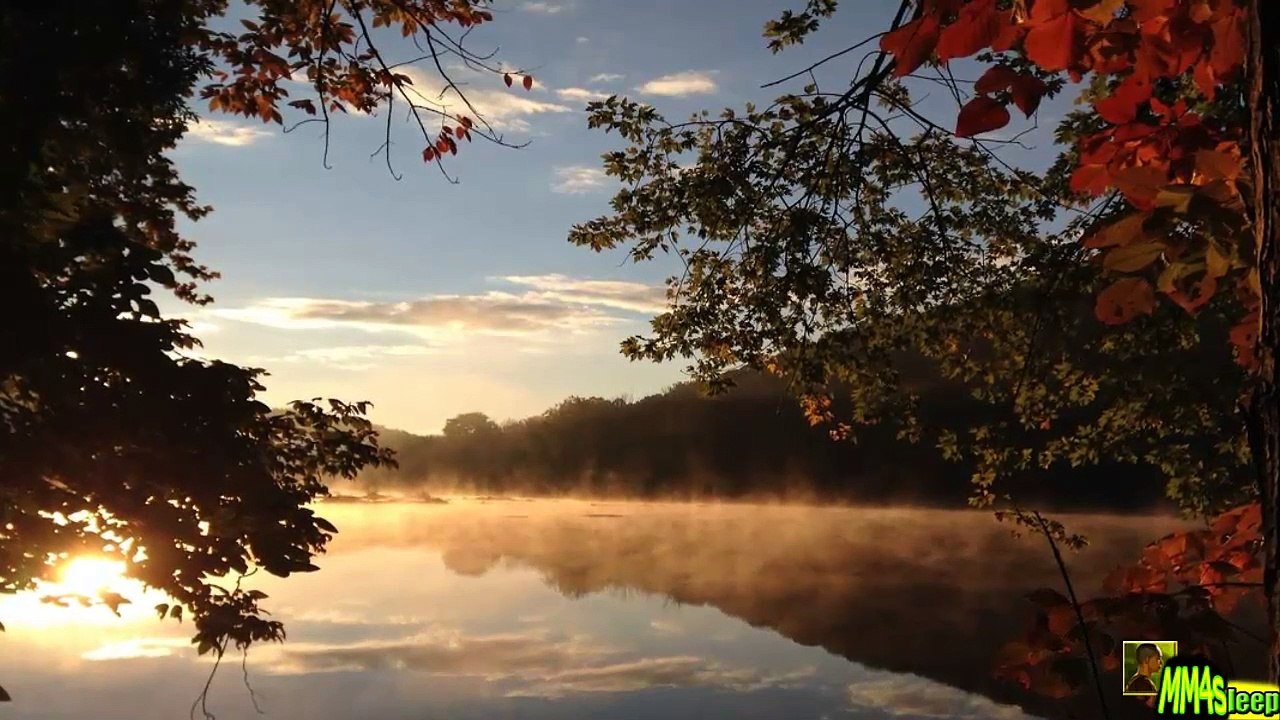 [FREE] Healing MUSIC | MUSIC to go INTO Trance N°20 | Rhythmic ...