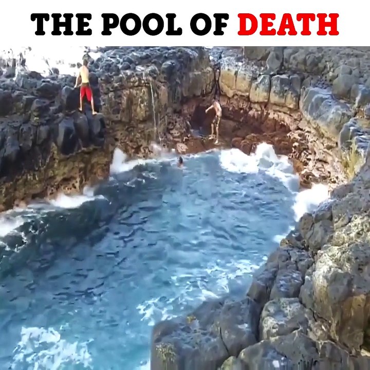 The pool of death - video Dailymotion
