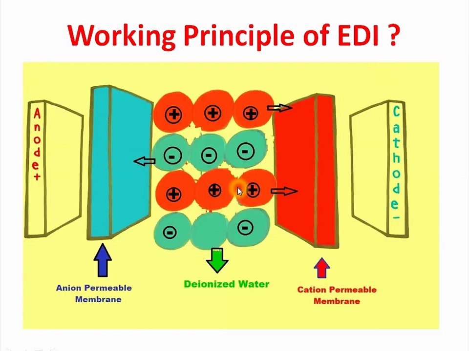 [ English ] How EDI works EDI working Principle - video Dailymotion