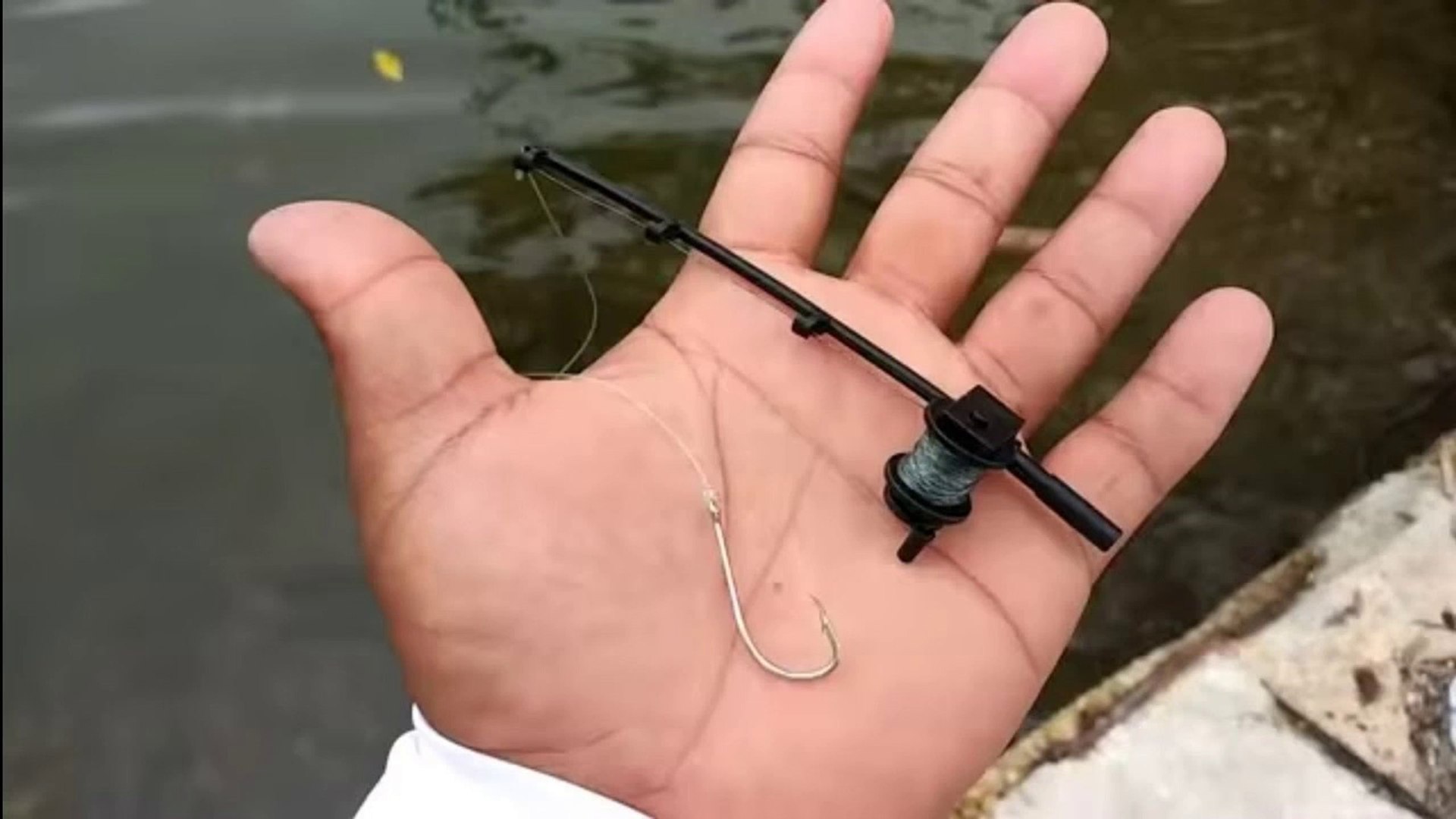 The Smallest Fish In The World Caught