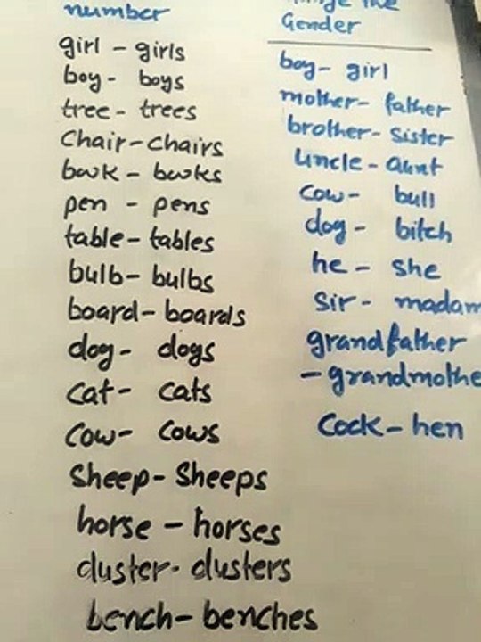 Number , Gender English Revision - video Dailymotion