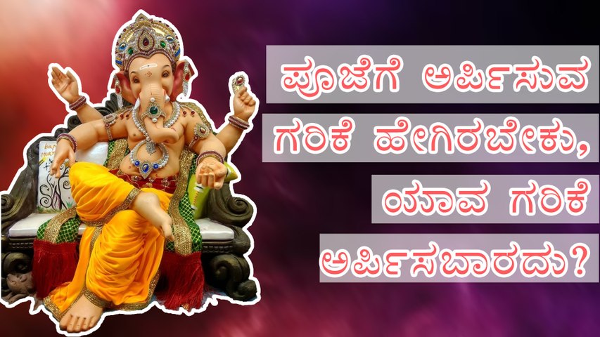 significance of durva grass in Ganesh Pooja: ಪೂಜೆಗೆ ಅರ್ಪಿಸುವ ಗರಿಕೆ ...