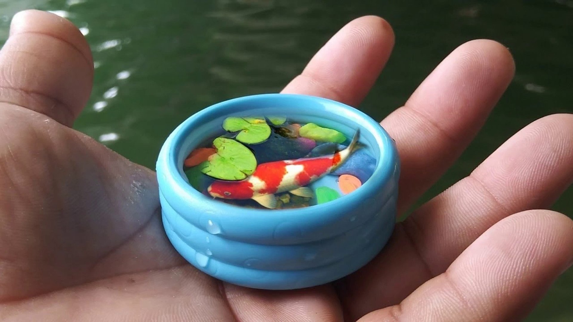 Worlds Smallest Swimming Pool