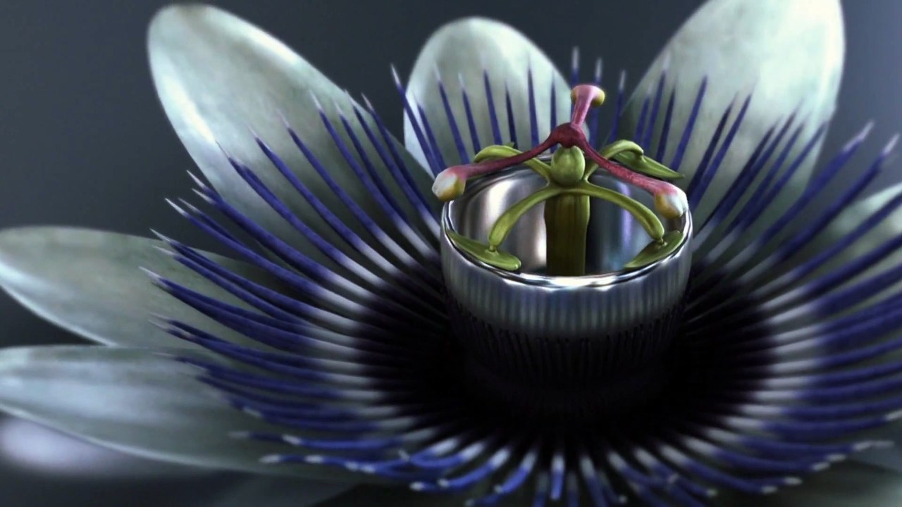 THX Amazing Life (HD) - Vídeo Dailymotion