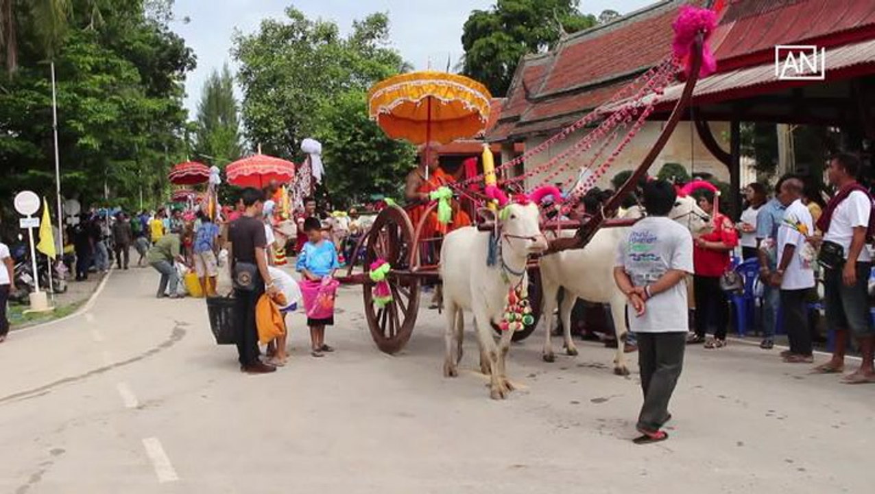 [NTV 260718] Giving alms to monks on bullock carts - video Dailymotion