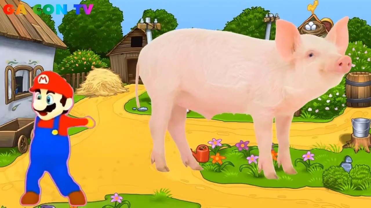 Con Gì Đây, Video Dạy Bé Tập Nói Sớm Tên Các Con Vật của kênh Gà Con TV ...