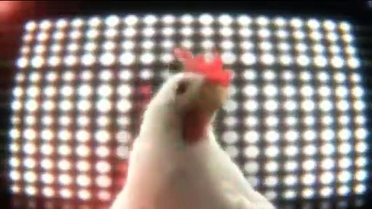 Chicken Song - video Dailymotion