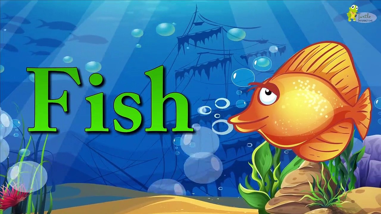 Letter F Song - Alphabets Songs - Letter Rhyme - Nursery Rhymes and ...