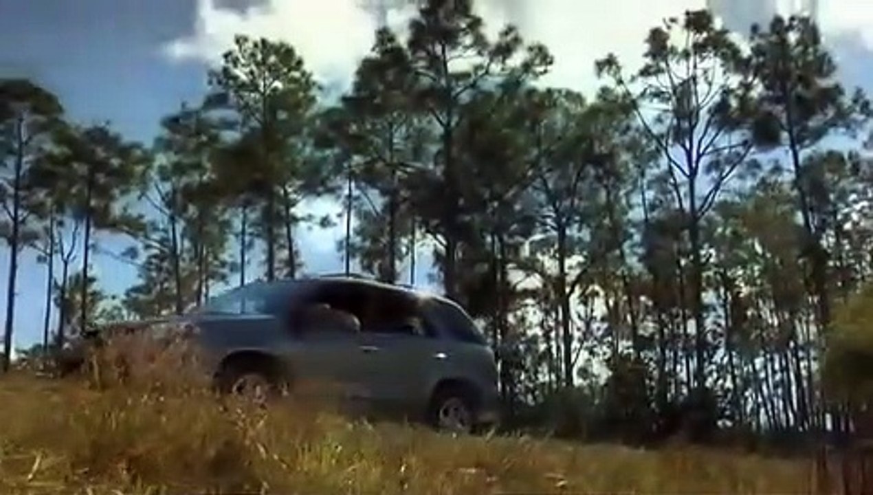 Hogzilla Trailer - Vídeo Dailymotion