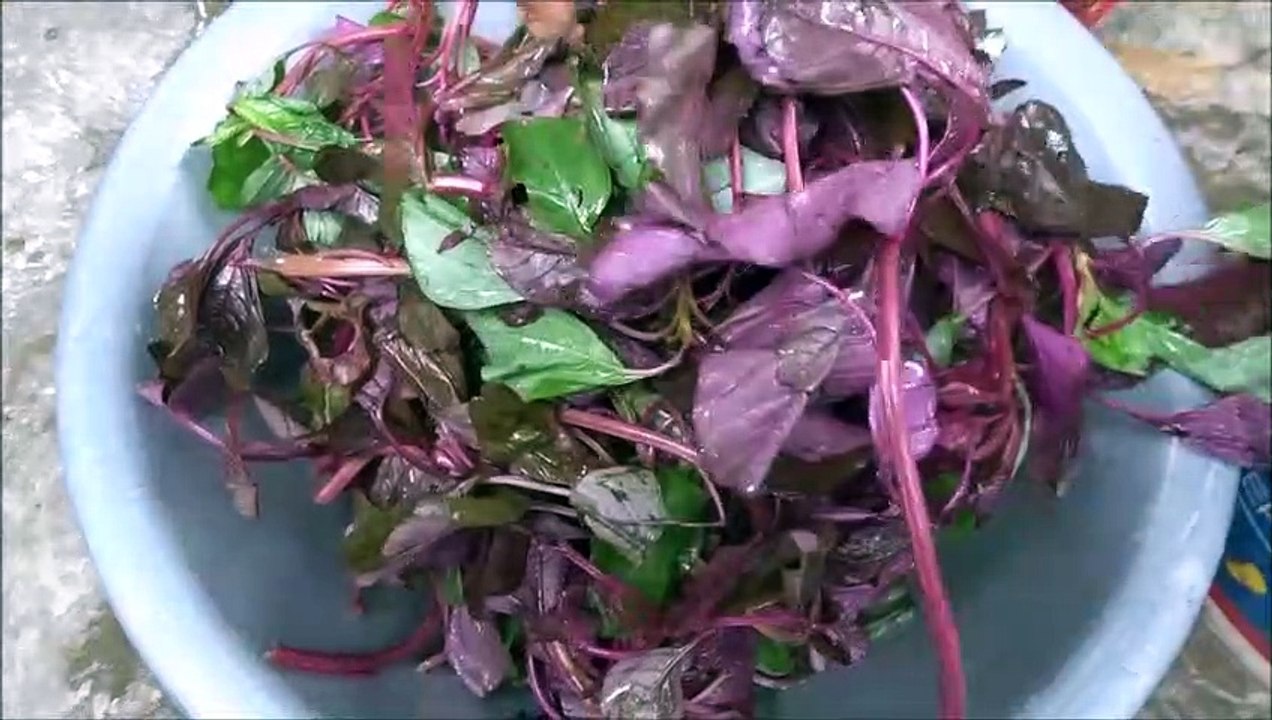 लाल साग || Red Spinach | Healthy Recipe | Red Palak Recipe I Lal saag ...