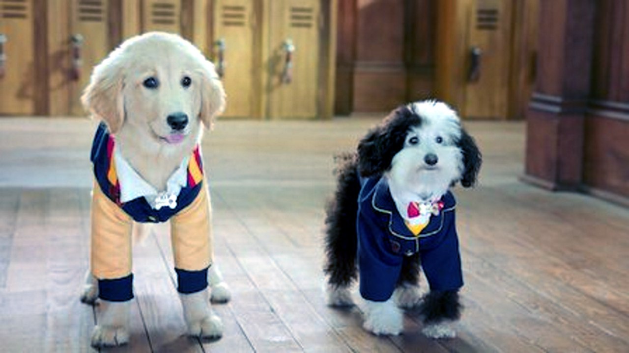 Pup Academy Season 2 - video Dailymotion