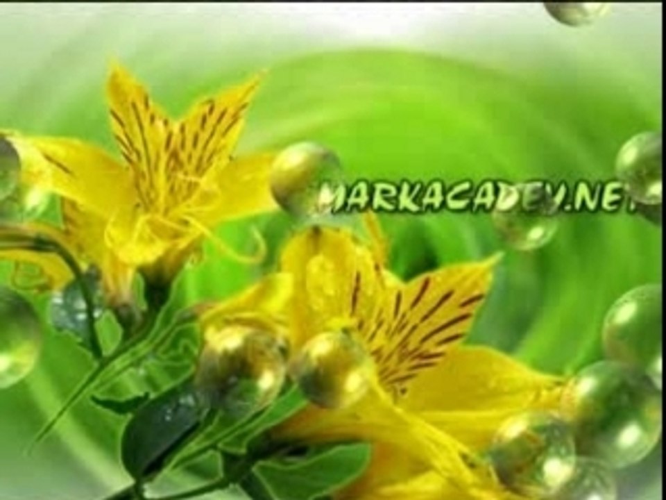 Hees Cusub - New Somali Music - video Dailymotion