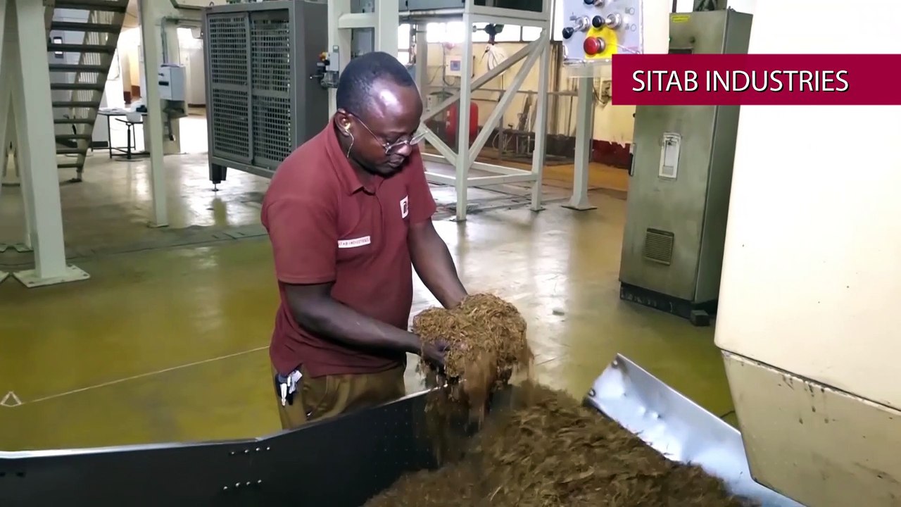 SITAB SA et ses filiales V.02 - Vidéo Dailymotion