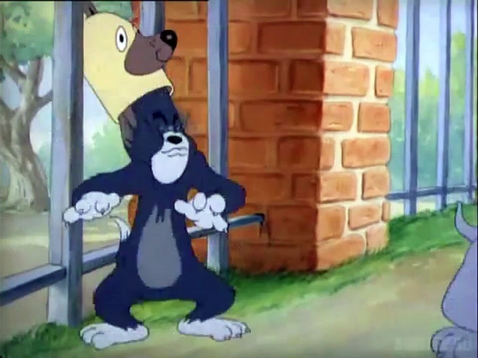 Tom i Dzeri - Pasji zivot (sinhronizovano) - video Dailymotion