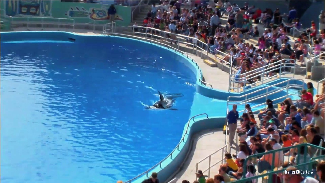 Saving Luna Trailer - Die Geschichte eines jungen Wals (2012) - video ...