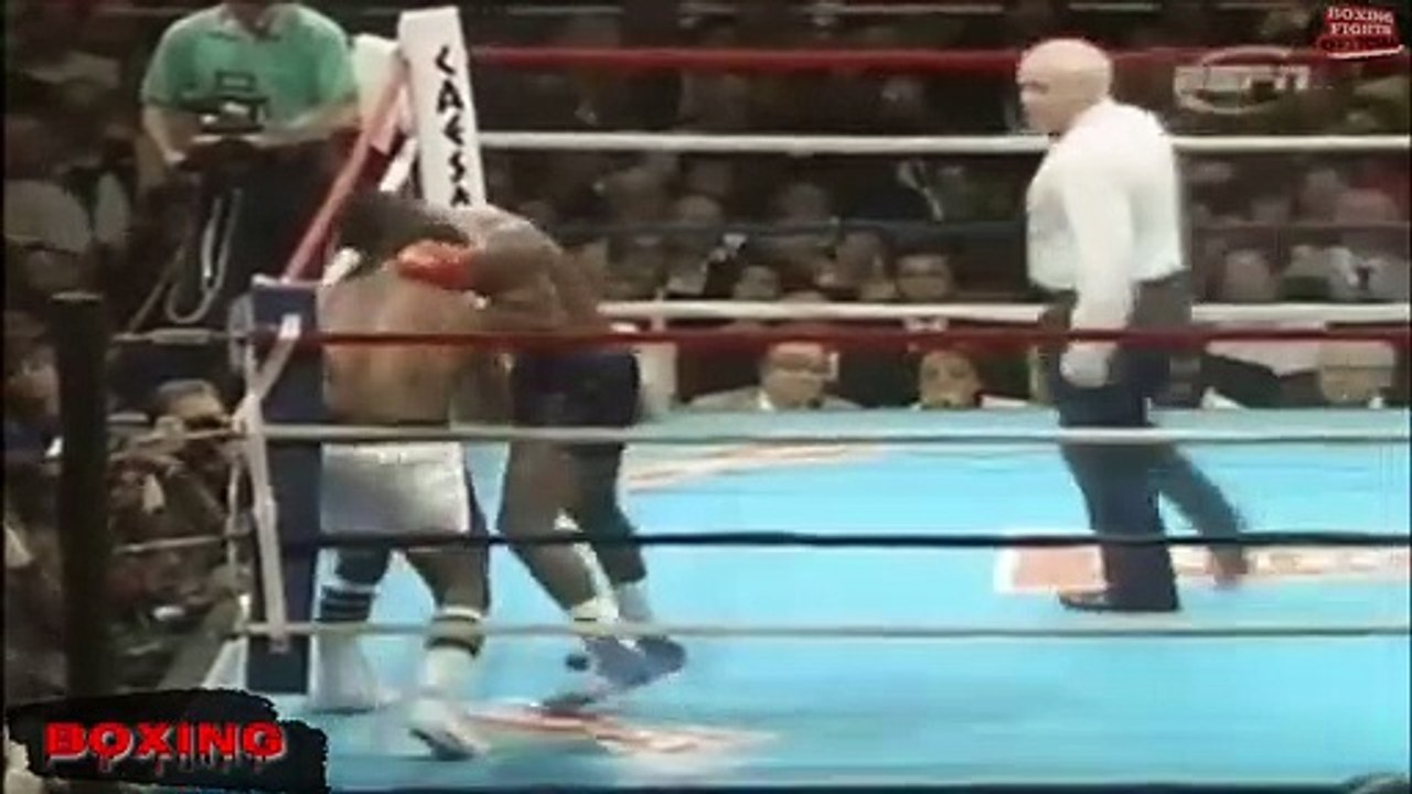 EVANDER HOLYFIELD VS DWIGHT MUHAMMAD QAWI 2 HIGHLIGHTS! - video Dailymotion