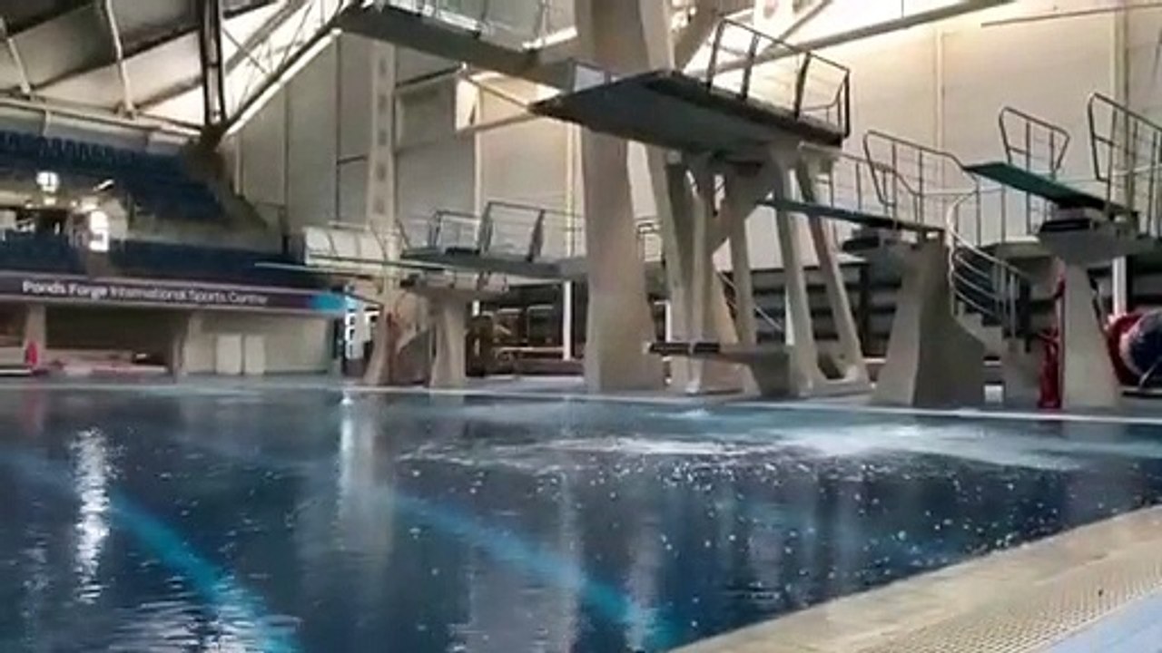 Sheffield Diving members make a splash as Ponds Forge leisure centre ...