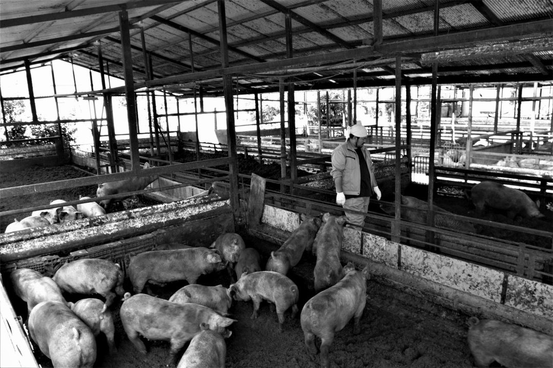 Cry (Trailer HD) - Video Dailymotion