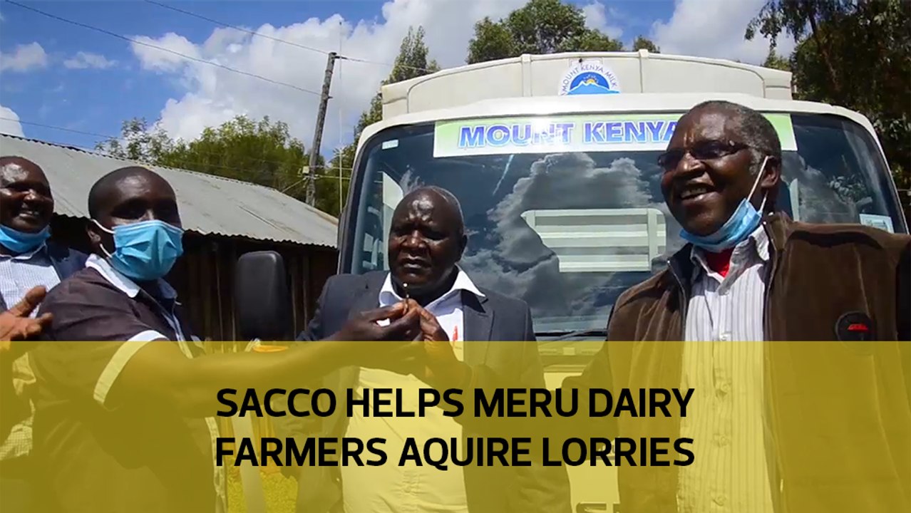 Sacco helps Meru dairy farmers acquire lorries - video Dailymotion