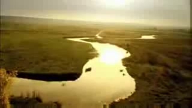 Community-Meinung zu Fire & Ice: The Dragon Chronicles