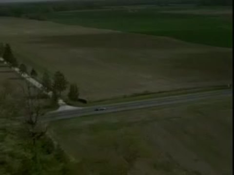 Black Swarm Bilder, Poster & Fotos | Moviepilot.de