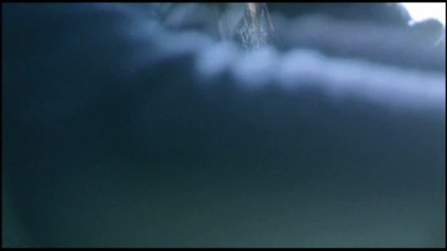 Exte | Film 2007 | Moviepilot