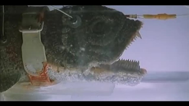 Creatures from the Abyss | Film 1994 | Moviepilot