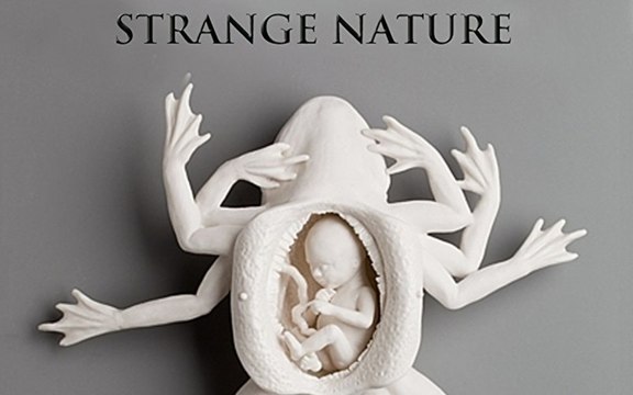 Strange Nature | Film 2018 | Moviepilot