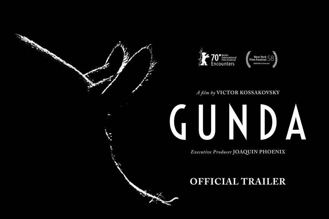 Gunda Trailer #1 (2020) Victor Kossakovsky Drama Movie HD - video ...
