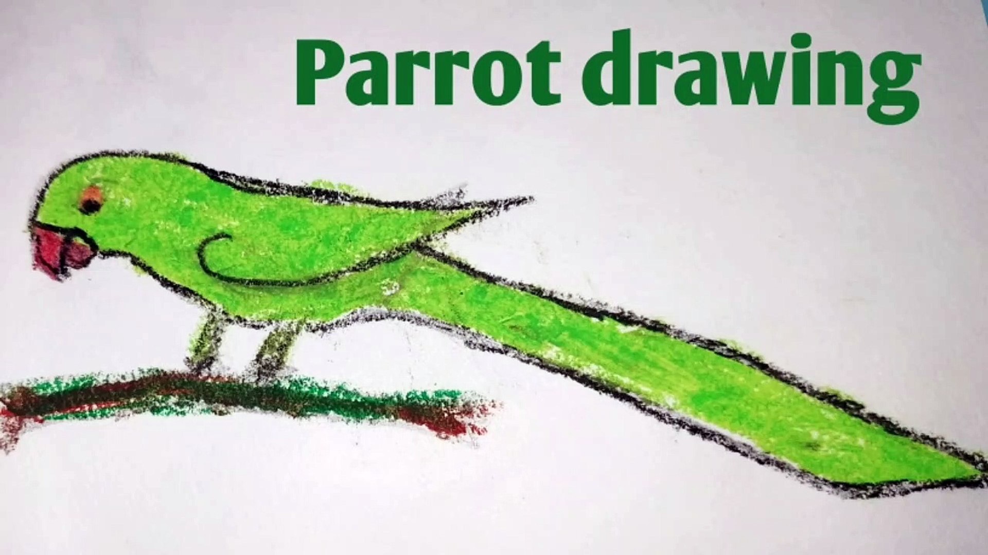 How To Draw A Simple Parrot