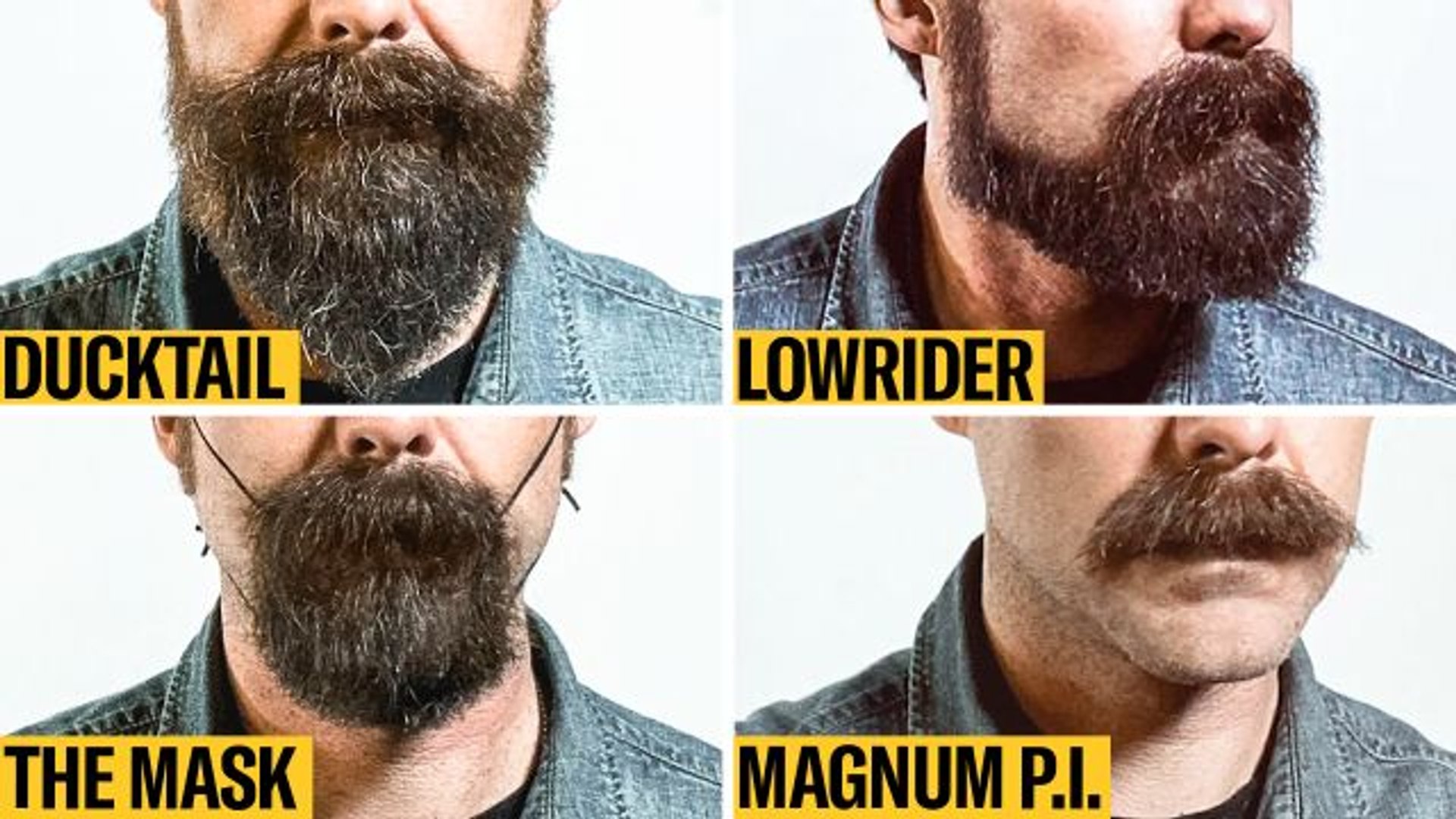 Full Beard Style 2014