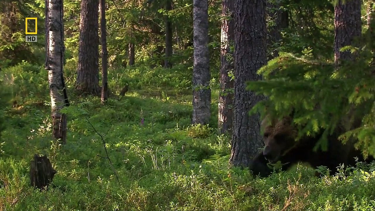 Wild Russia E06 - Urals - video Dailymotion