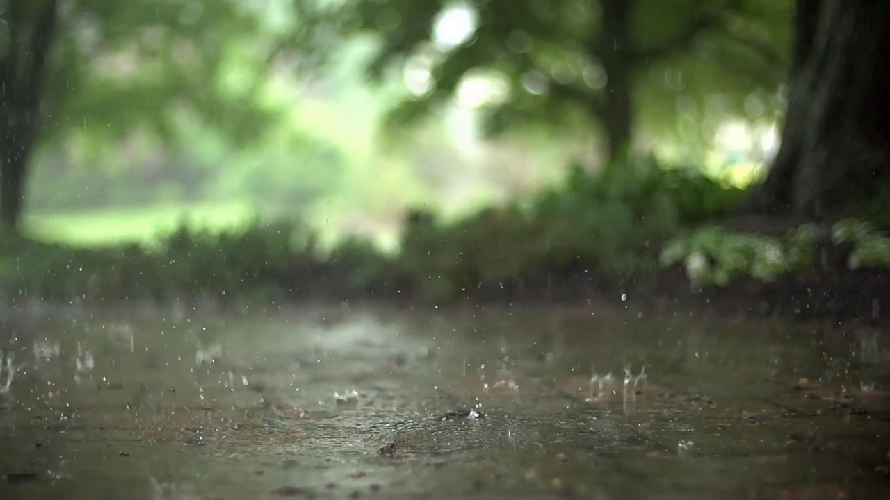 How Rainfall looks like || Soothing Beauty of Rainfall || Calm Music ...