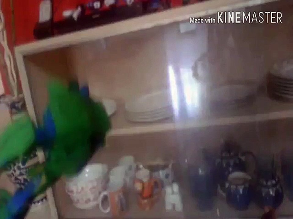 Green Bot part - 2 - video Dailymotion