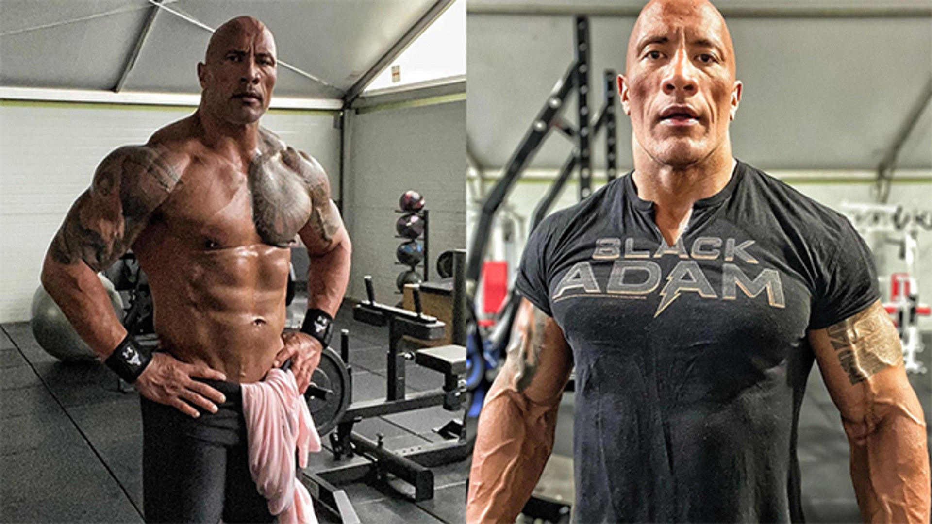 Dwayne The Rock Johnson Body Transformation