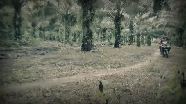 Shorts Public videos - Dailymotion