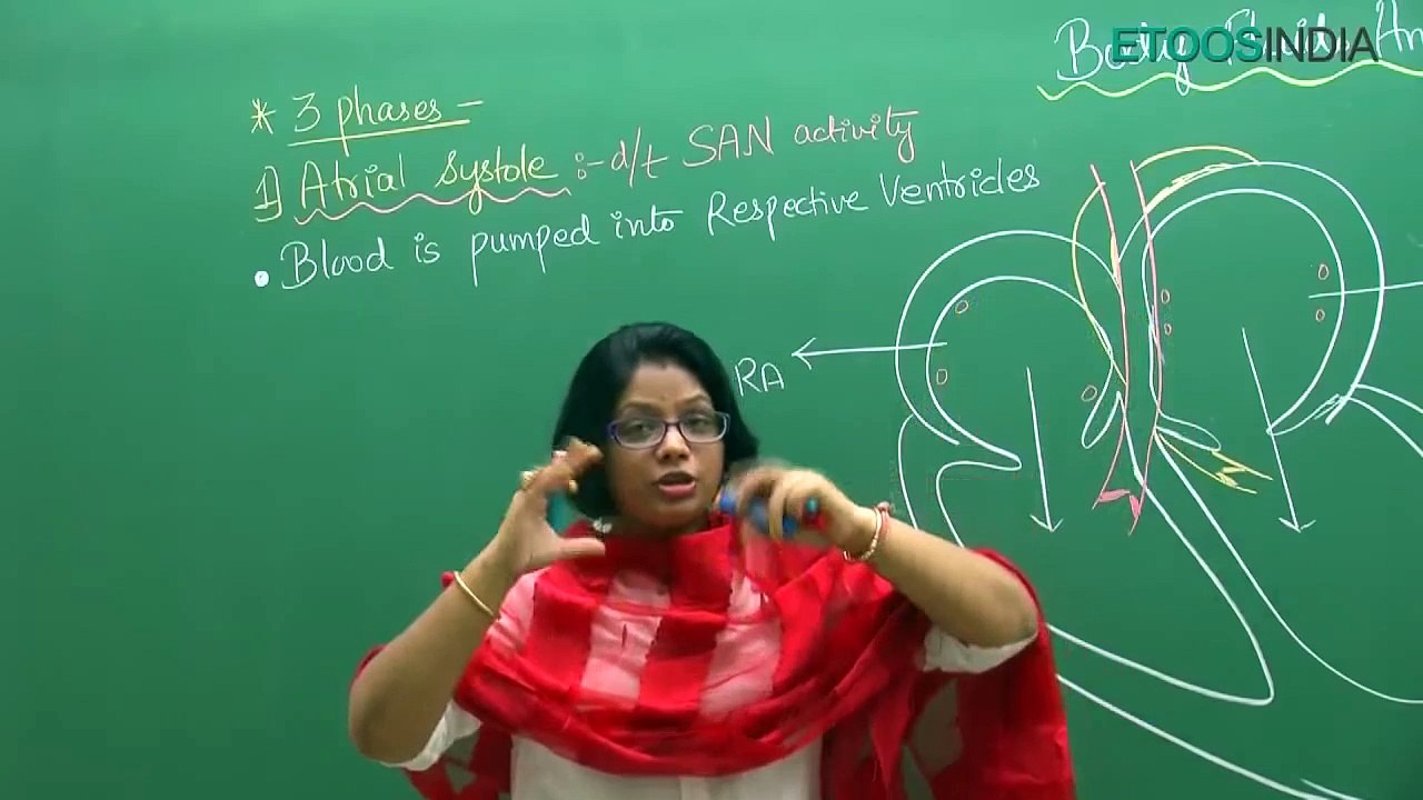 Body fluids and its Circulation - NEET Video Lectures - Dr Akanksha ...