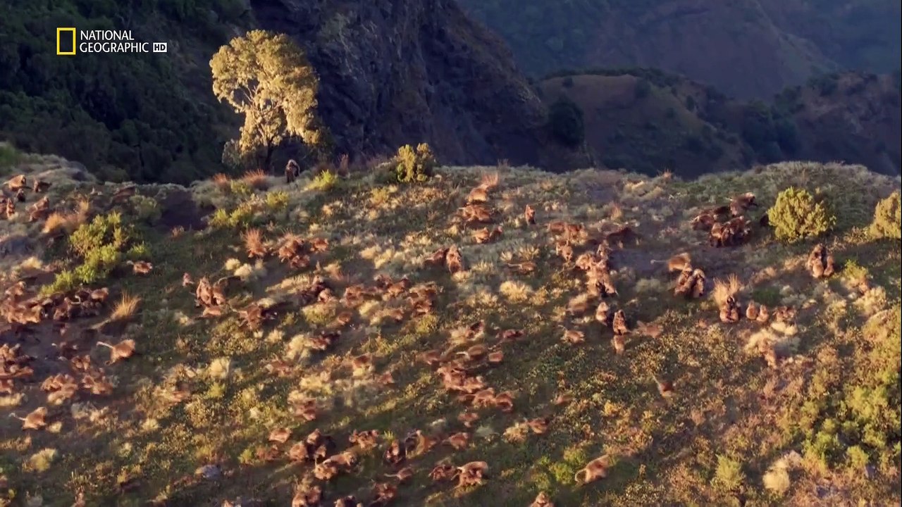 Hostile Planet EP1 - Mountains - video Dailymotion