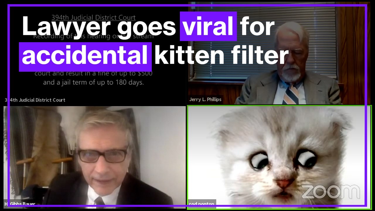 Hilarious moment Texas lawyer appears with cat filter before judge on ...