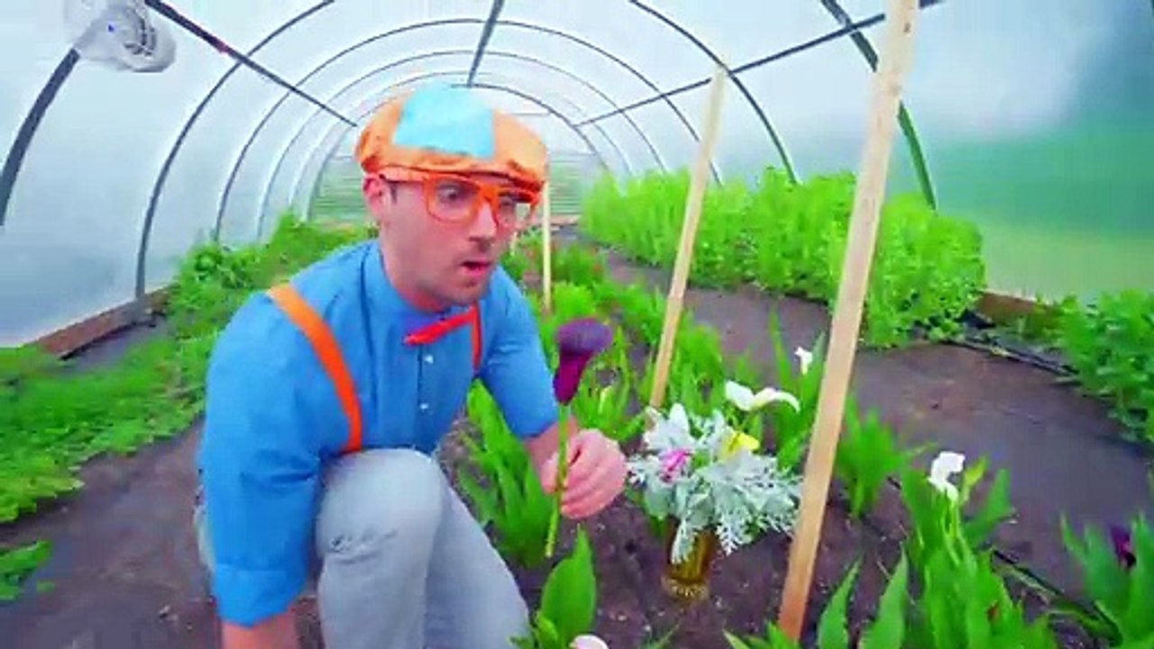 Blippi FARM Song - Educational Songs For Kids - video Dailymotion