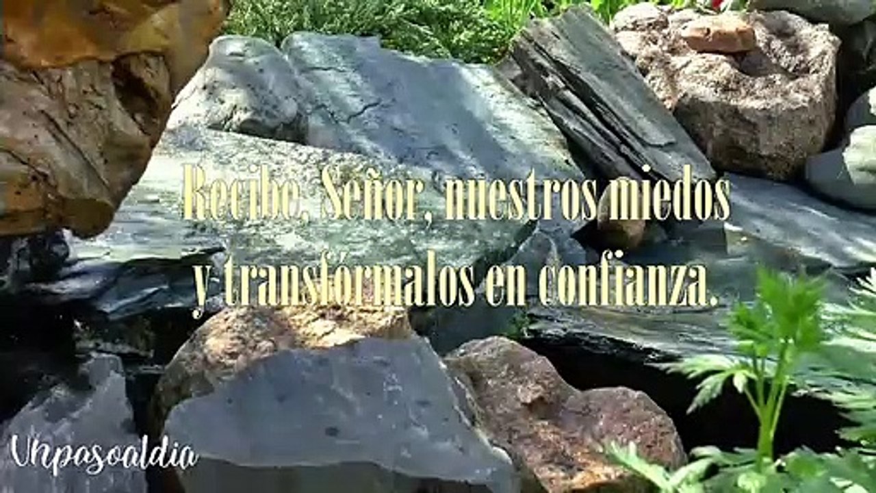 RECIBE SEÑOR - video Dailymotion