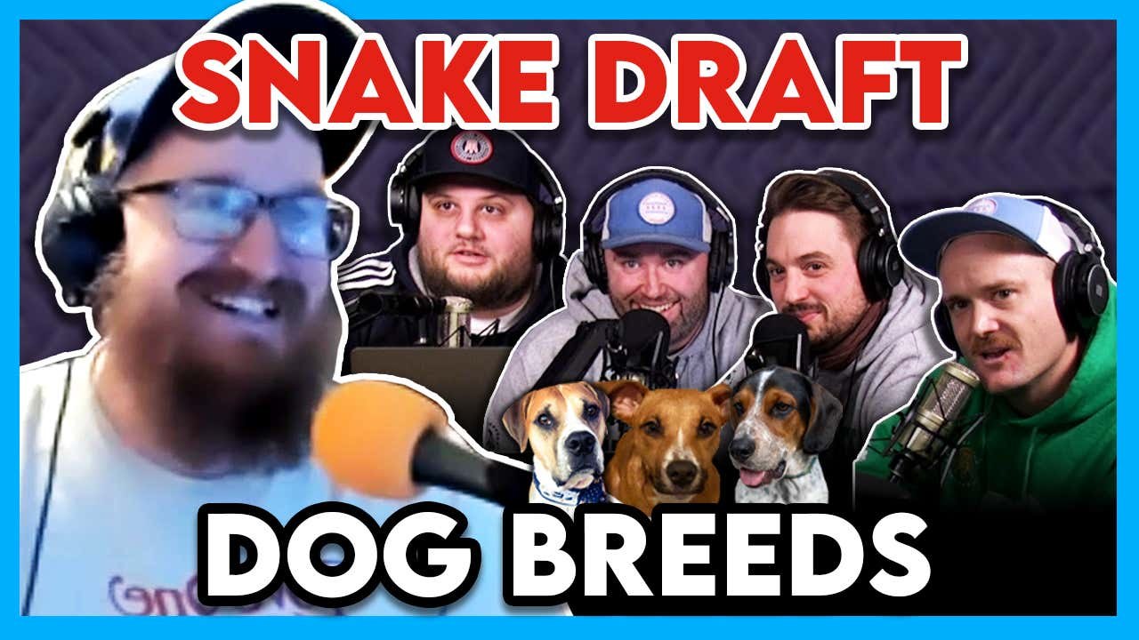 Dog Breed Draft (ft. Uncle Chaps): Are The Top 3 Dog Breed Picks ...