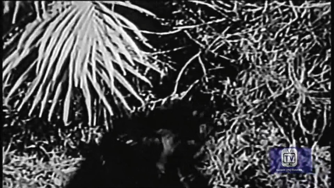 Sheena - Season 1 - Episode 15 - Leopard Men | Irish McCalla, Christian ...