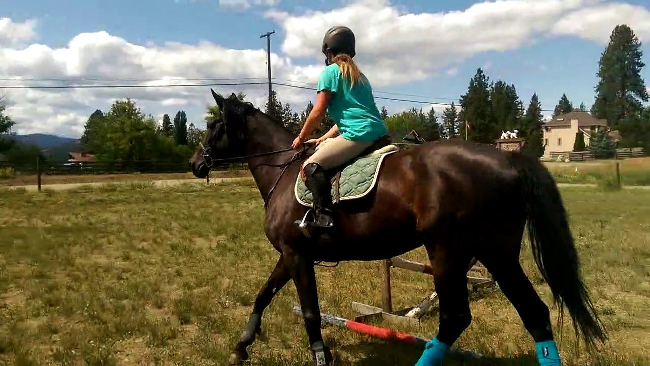 Cloverleaf Exercise. . . with Crosspoles - video Dailymotion